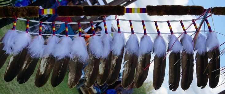 Programs & Services | Alexander First Nation Education